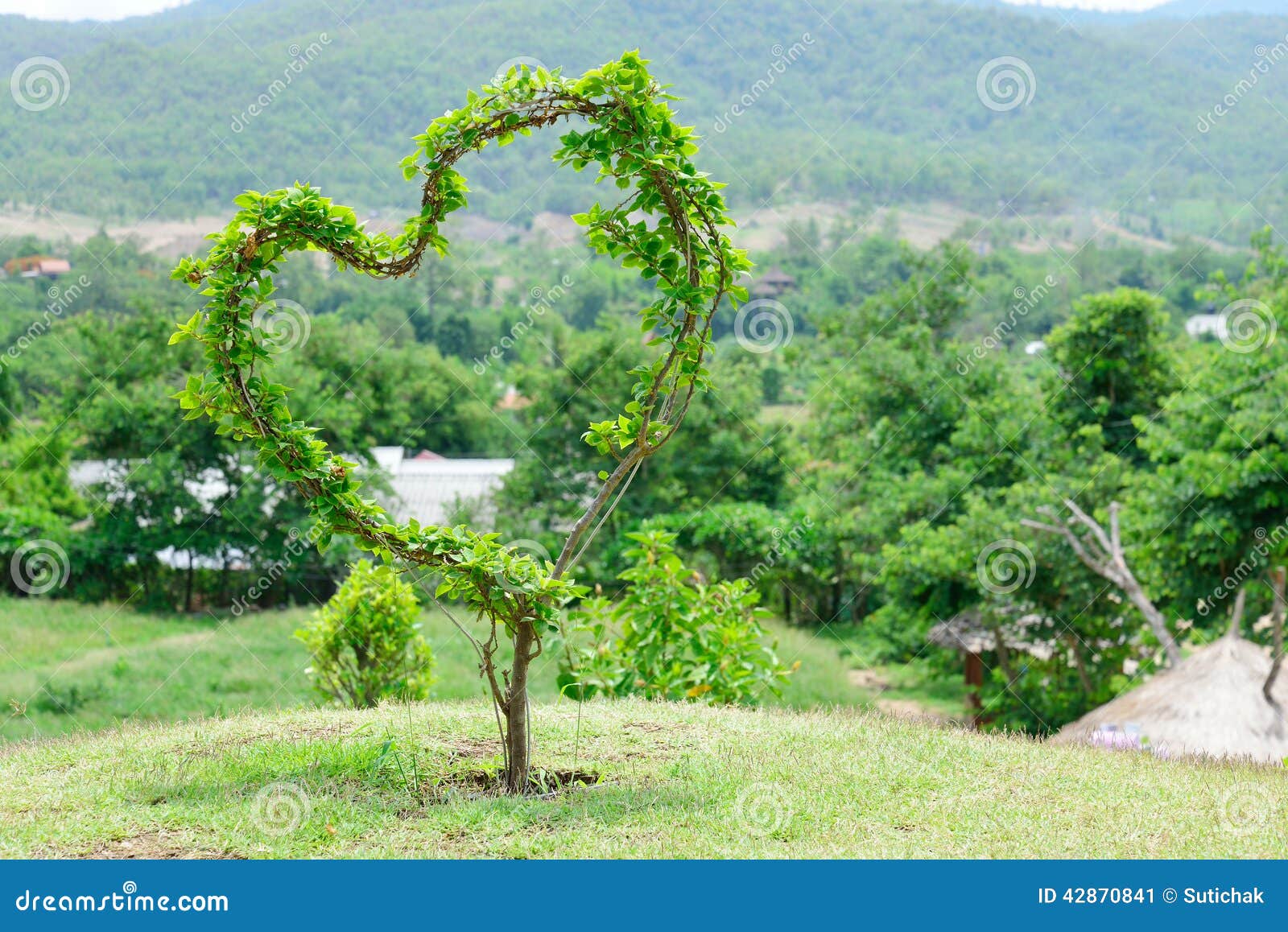 Heart tree with love stock image. Image of modern, heart - 42870841