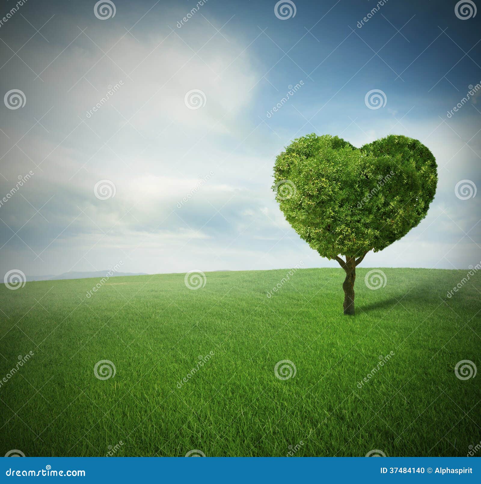 Heart tree stock photo. Image of fantasy, dreamlike, life - 37484140