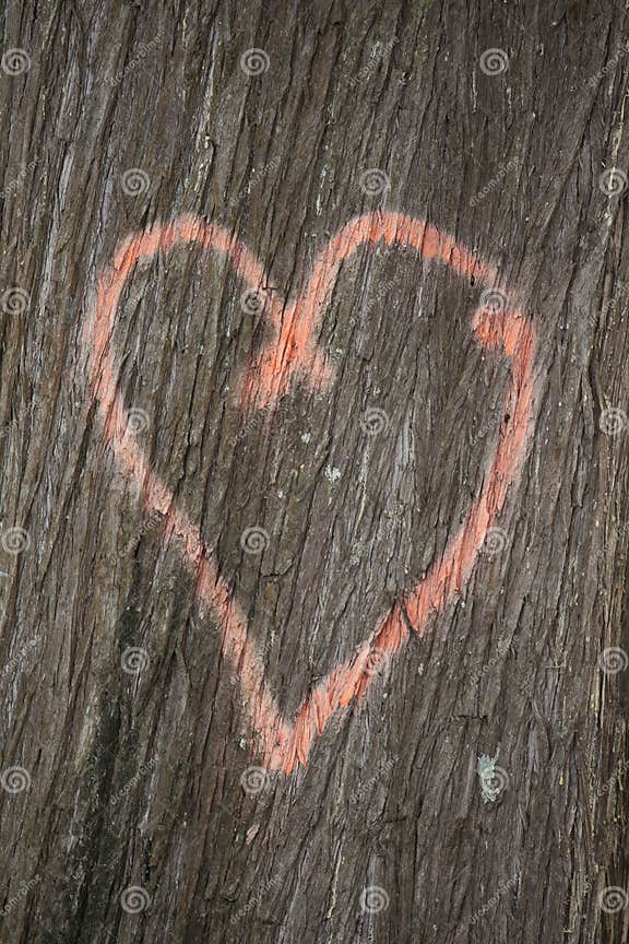 Heart on tree stock photo. Image of tree, paint, lovers - 32755428