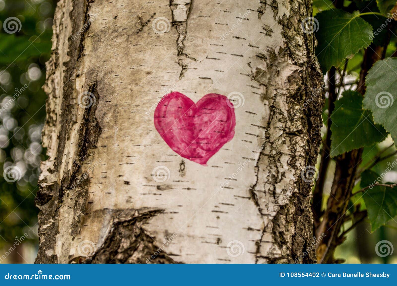 Heart stock photo. Image of tree, pink, watercolour - 108564402