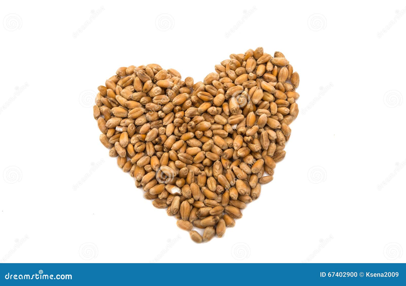Heart of Wheat Grains Isolated Stock Photo - Image of cereal, baking ...