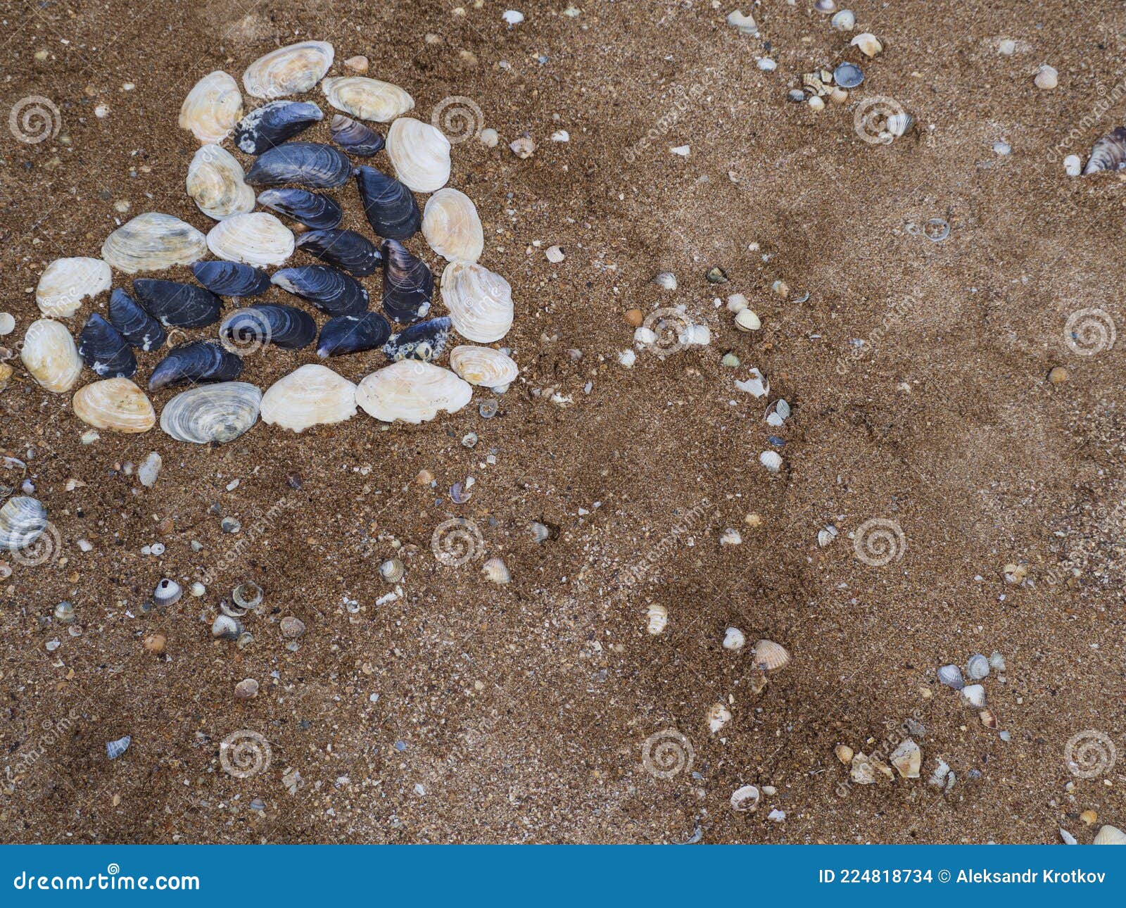 A Heart of White and Blue Shells Lying on a Summer Background of Beach ...