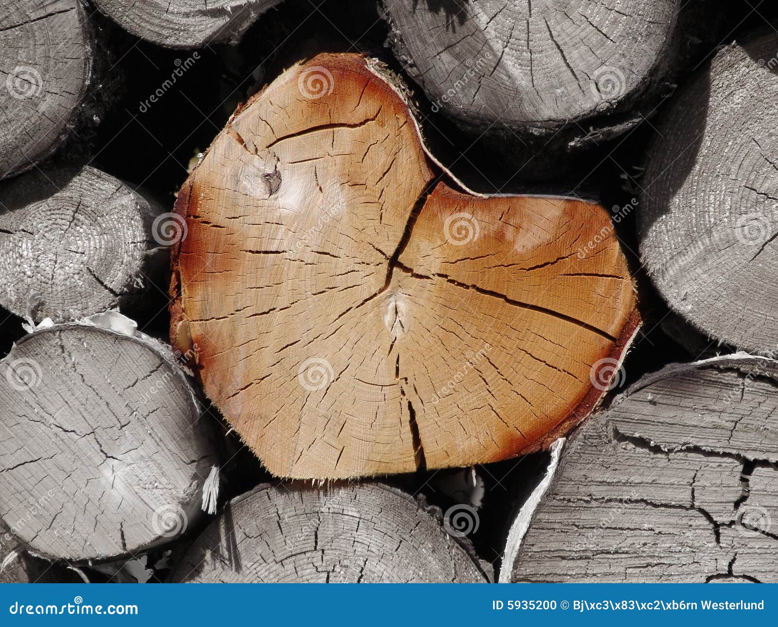 Heart of wood stock photo. Image of heart, stack, firewood - 5935200