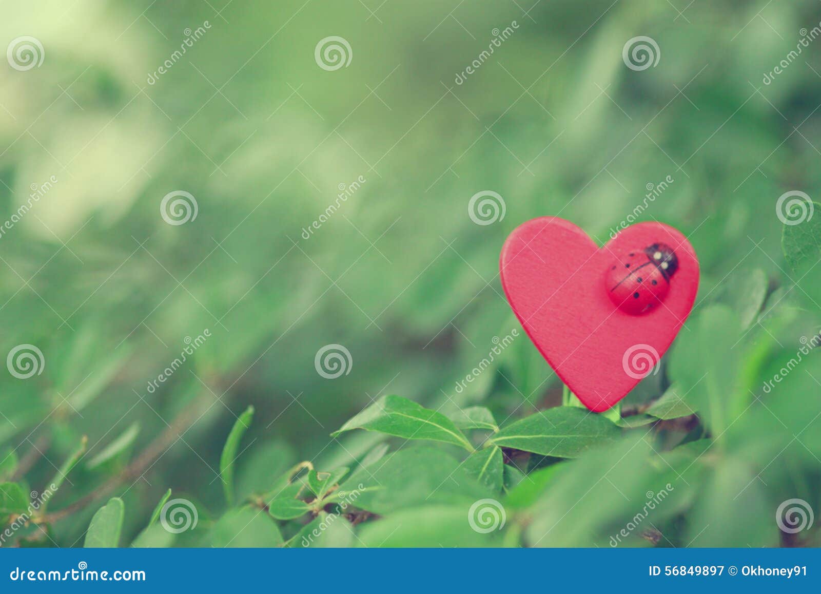 Heart stock image. Image of tree, heart, black, afara - 56849897