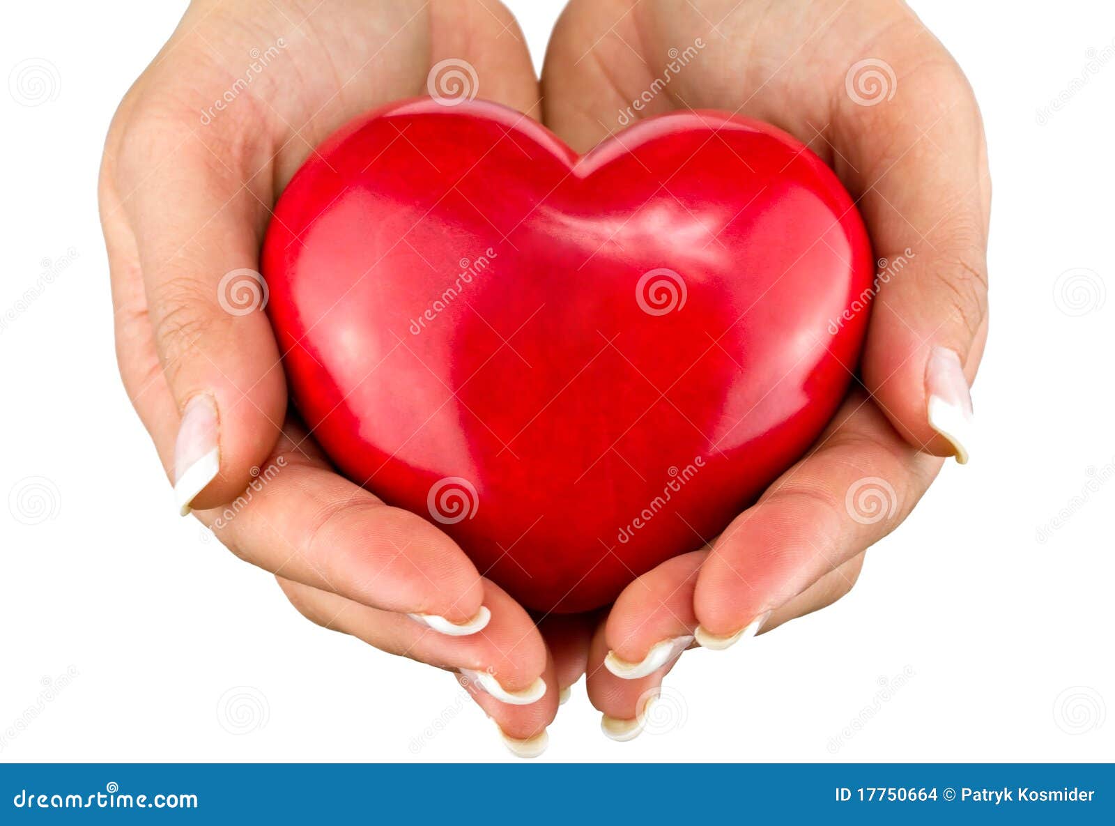 Heart for you stock photo. Image of digest, sensuality - 17750664