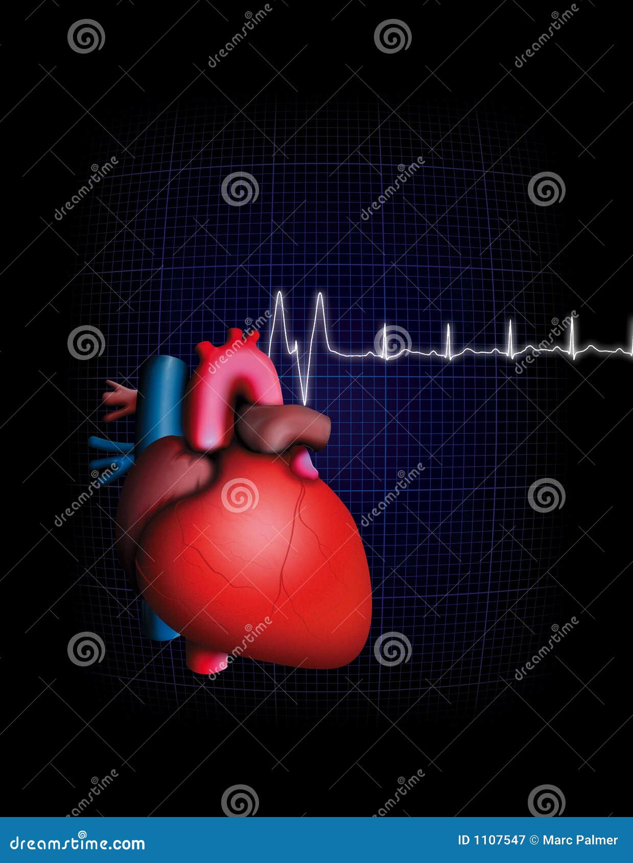 Heartbeat stock illustration. Illustration of heartbeat - 1107547