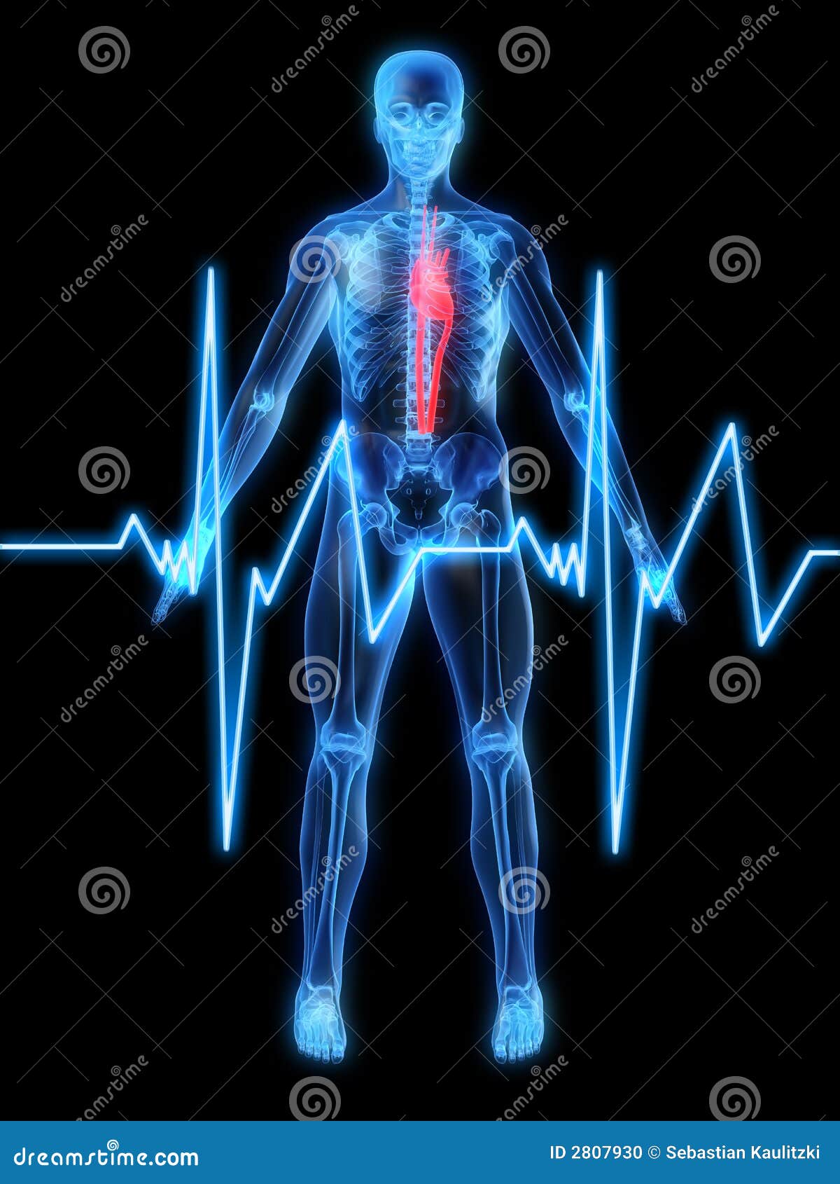 Heartbeat stock illustration. Illustration of patient - 2807930