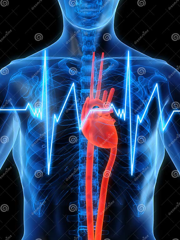 Heartbeat stock illustration. Illustration of frequency - 2807936