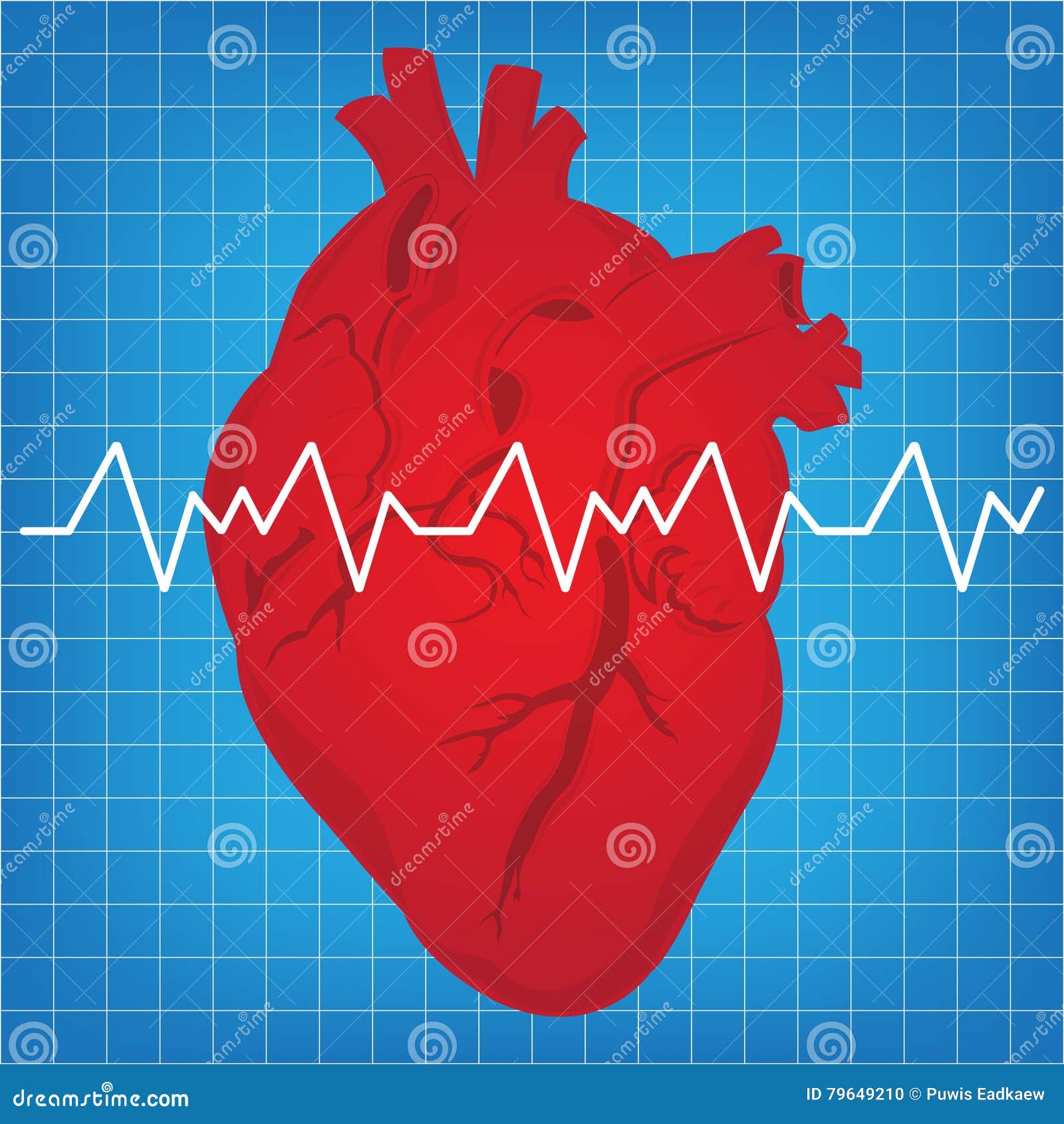 Heartbeat illustration de vecteur. Illustration du cardiaque - 79649210