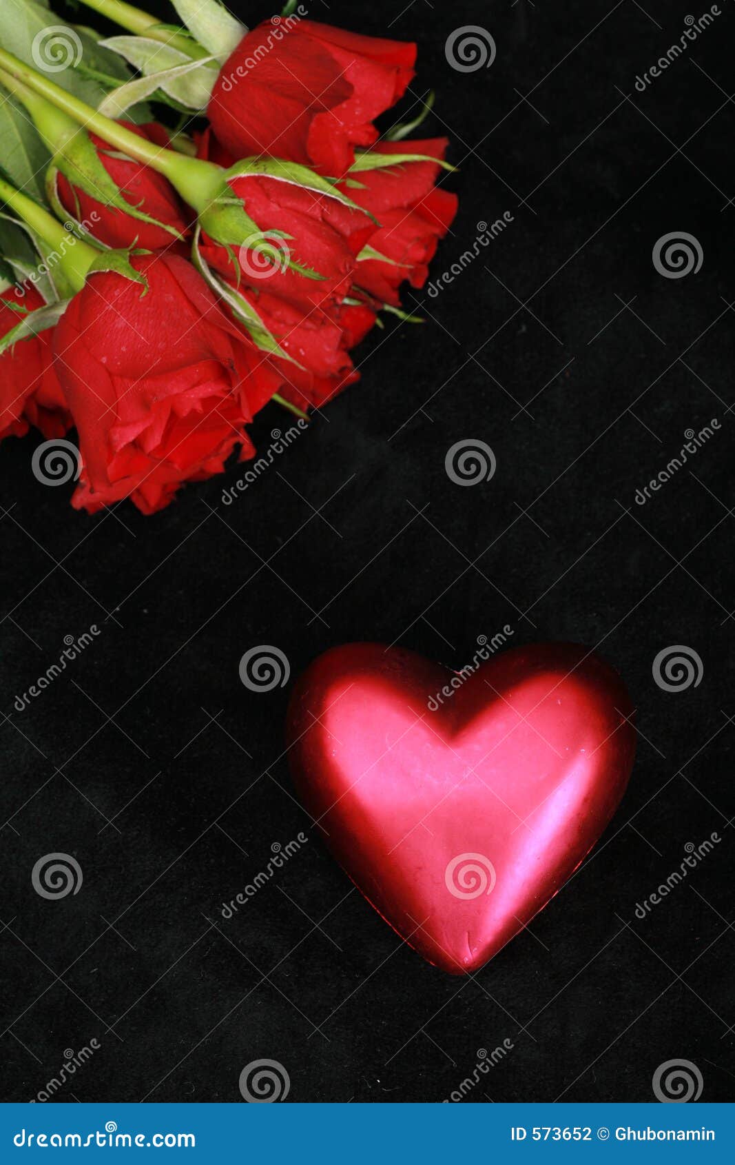 Heartrose stock photo. Image of loves, drop, bouquet, flowers - 573652