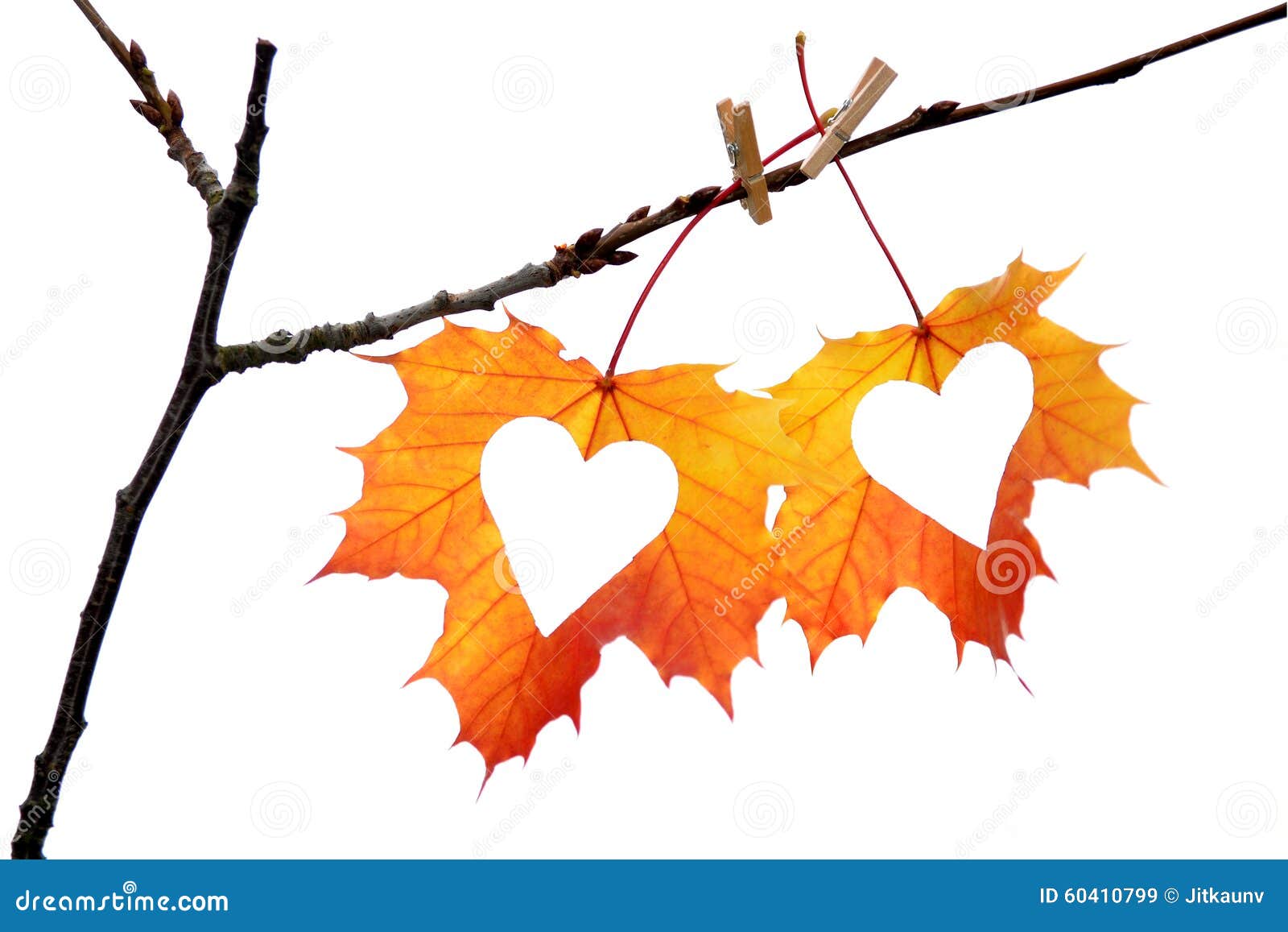 Hearts in autumn leaf stock image. Image of fall, heart - 60410799