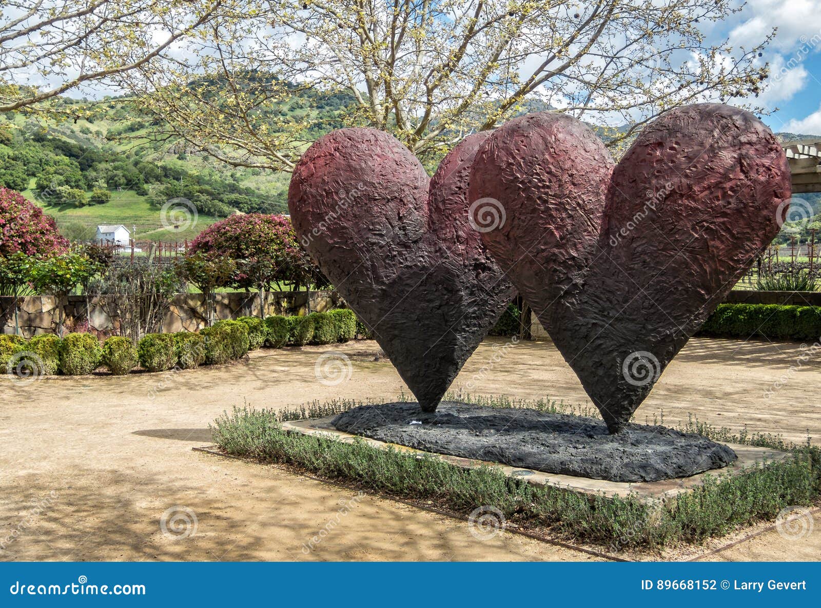 Hearts in a garden stock photo. Image of loving, canvas - 89668152