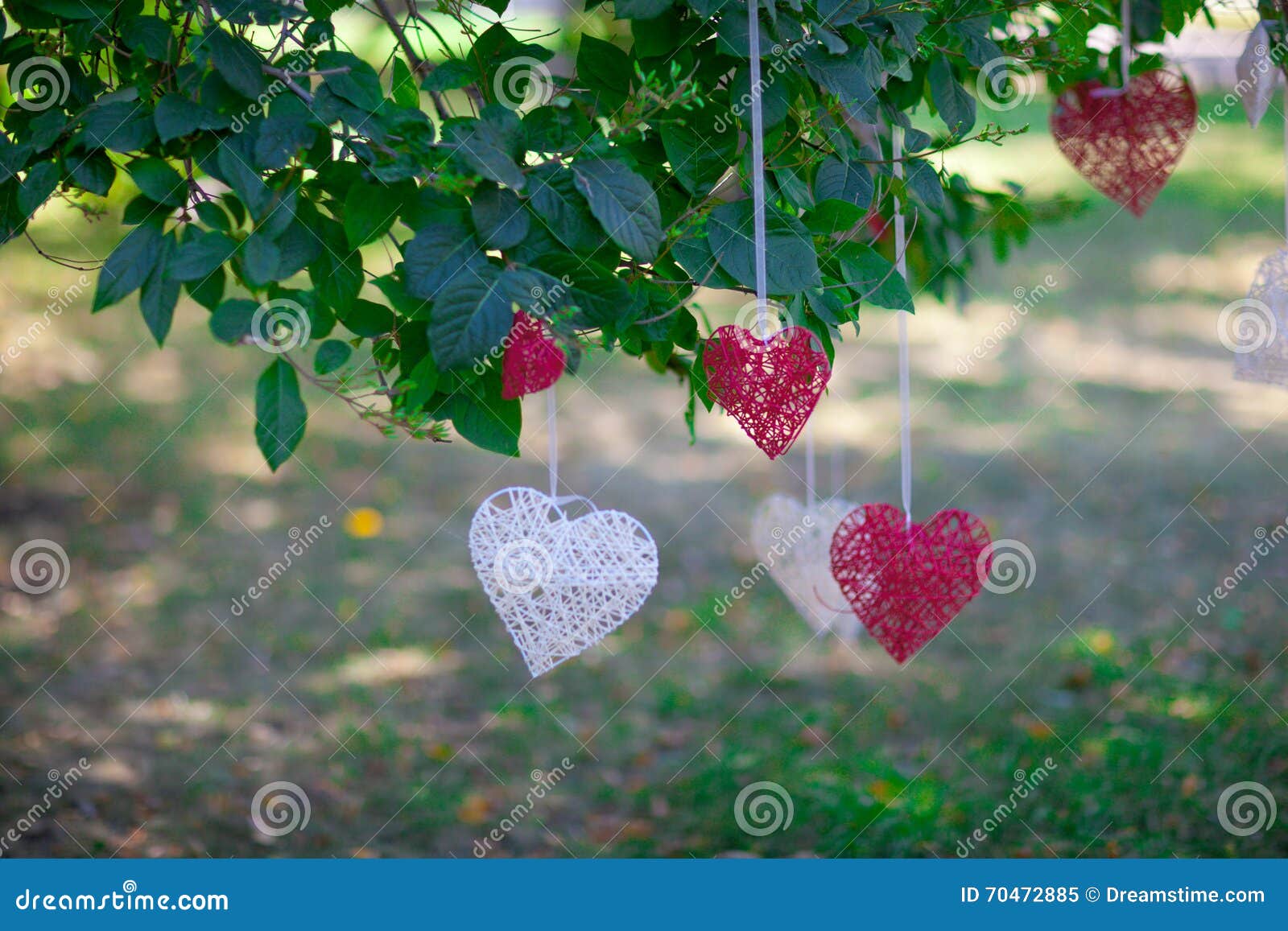 Hearts hang on a thread stock image. Image of gift, nuptial - 70472885