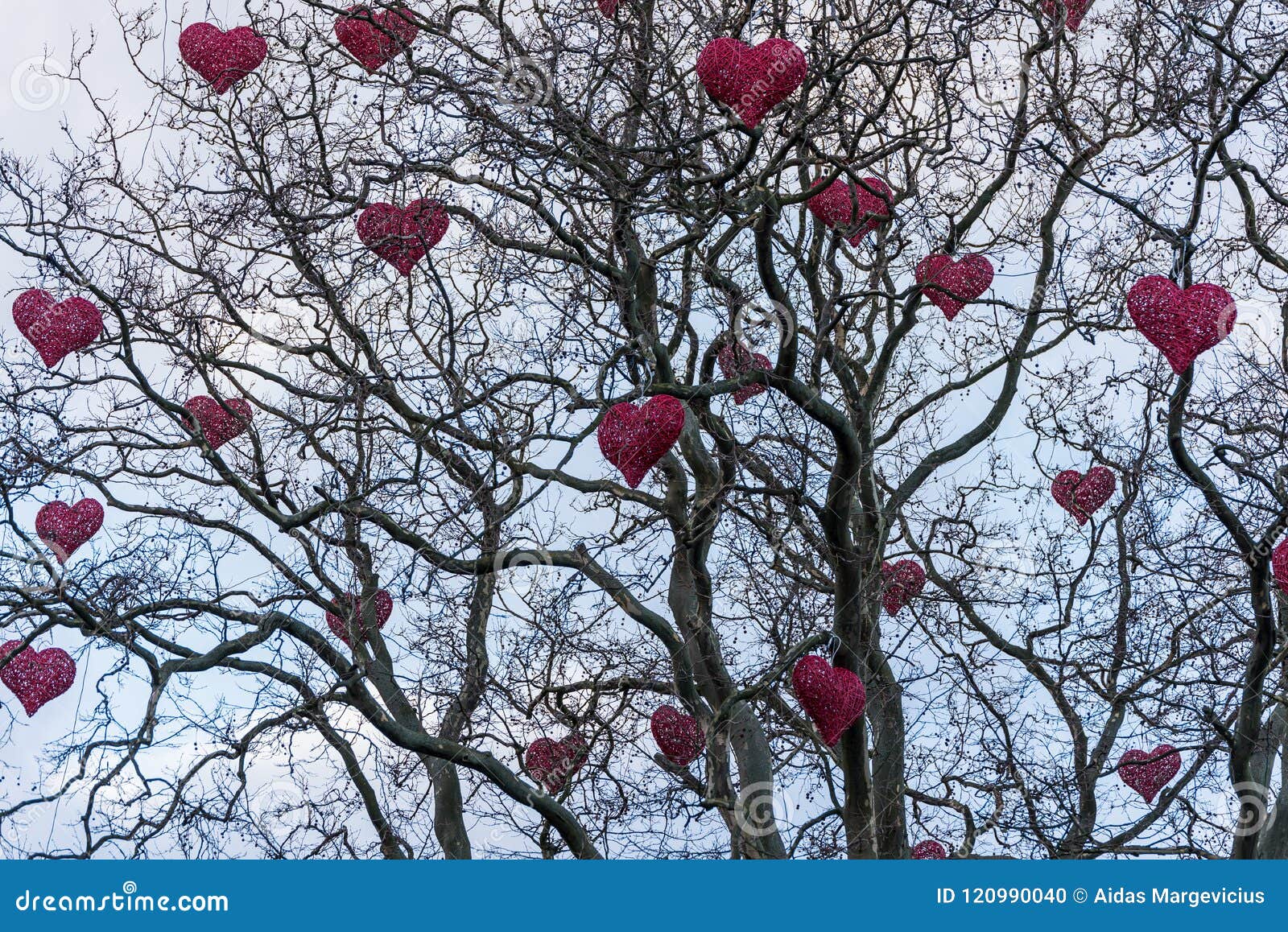 Hearts on the tree stock photo. Image of design, romantic - 120990040