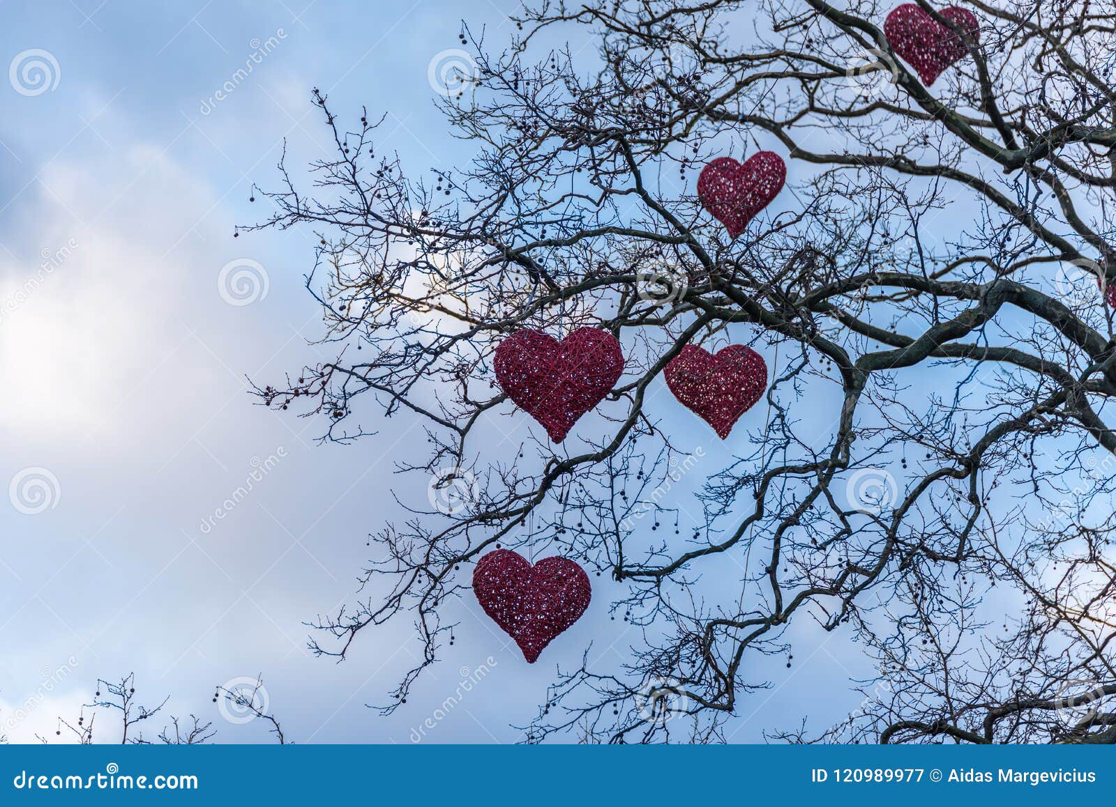 Hearts on the tree stock image. Image of love, hearts - 120989977