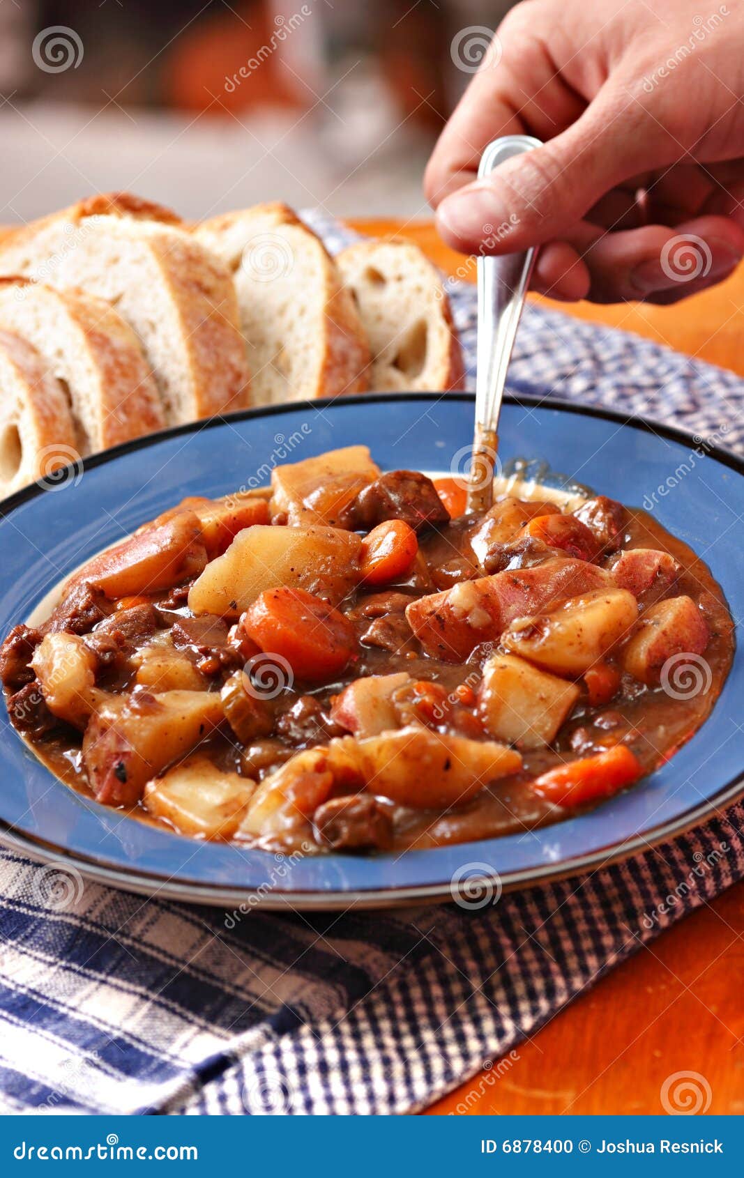 Hearty beef stew stock photo. Image of braised, food, culture - 6878400