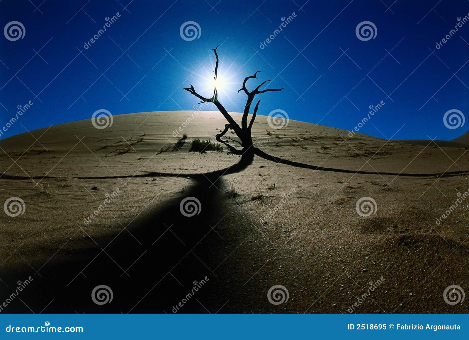 Heat stock image. Image of environment, desert, dunes - 2518695