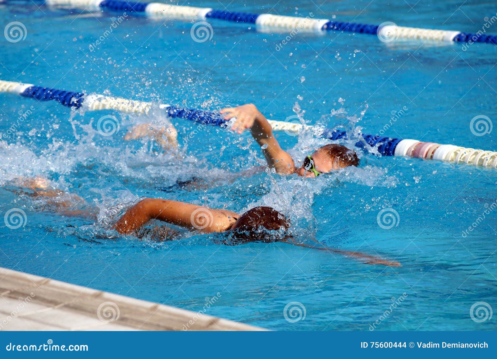 Heat of Children in the Swimming Pool Stock Photo - Image of fight ...