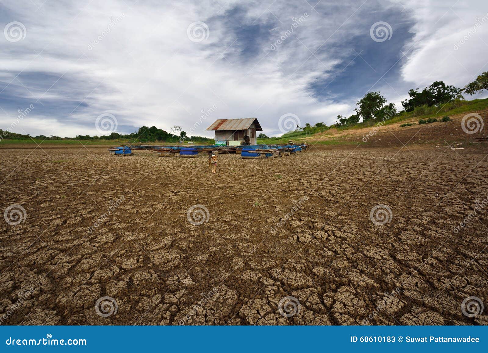 Heat , Drought Parched Ground . Stock Image - Image of cracked ...