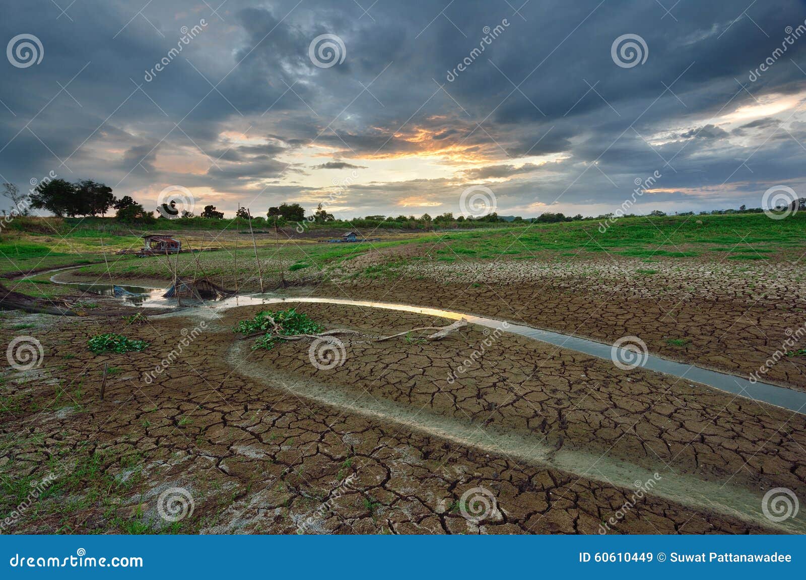 Heat , Drought Parched Ground . Stock Image - Image of back, head: 60610449