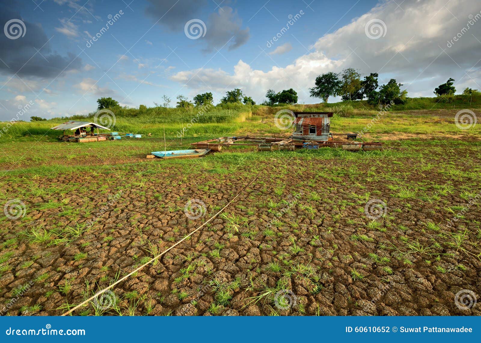 Heat , Drought Parched Ground . Stock Photo - Image of abstract ...