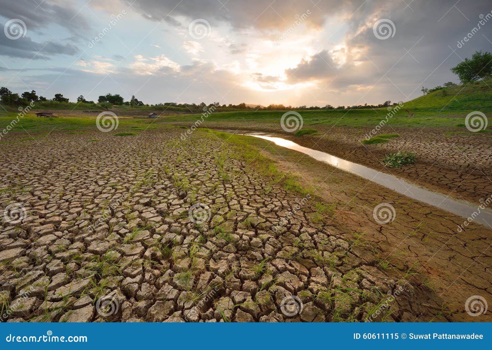 Heat , Drought Parched Ground . Stock Image - Image of arid, green ...