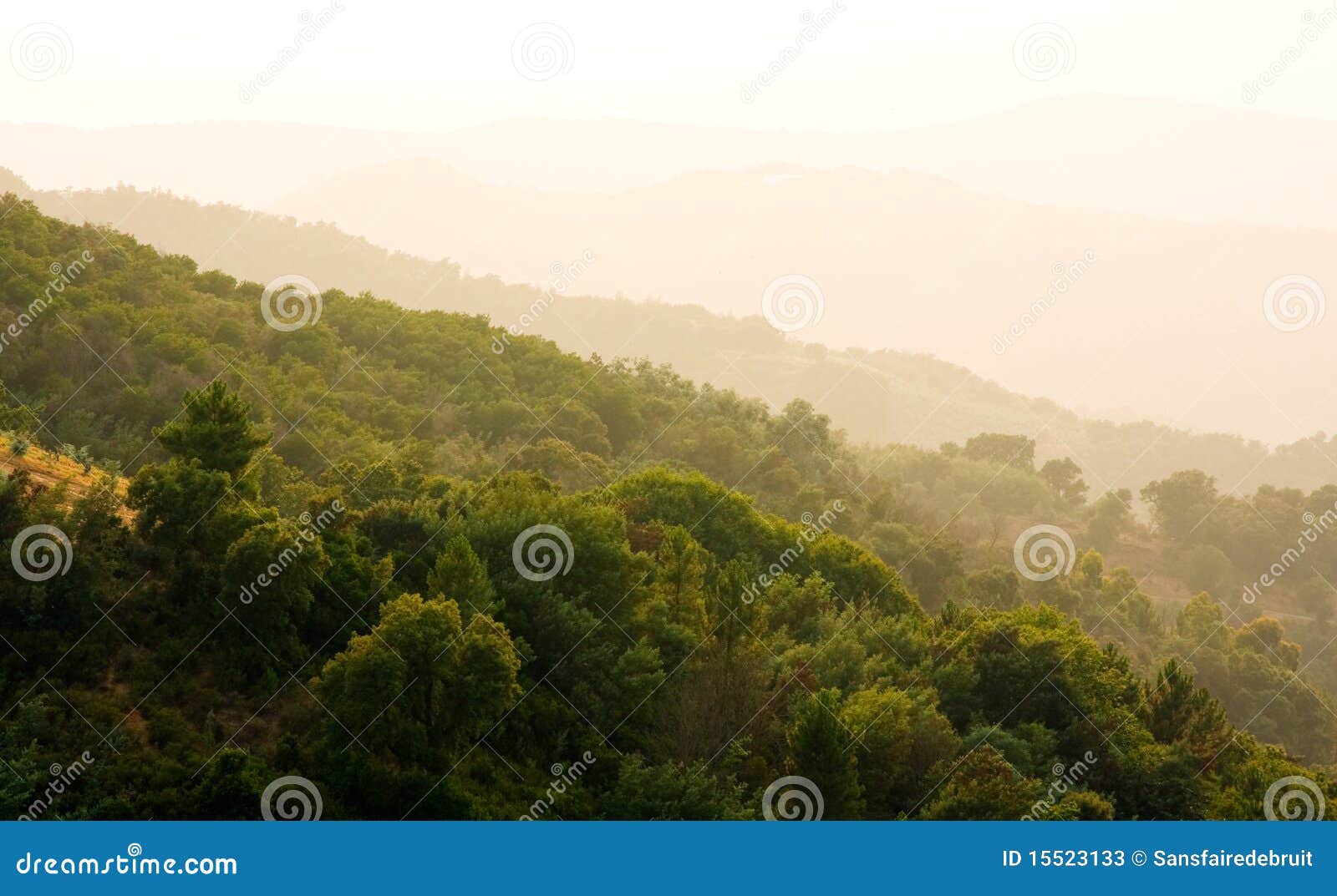 Heat haze stock image. Image of europe, bough, foliage - 15523133