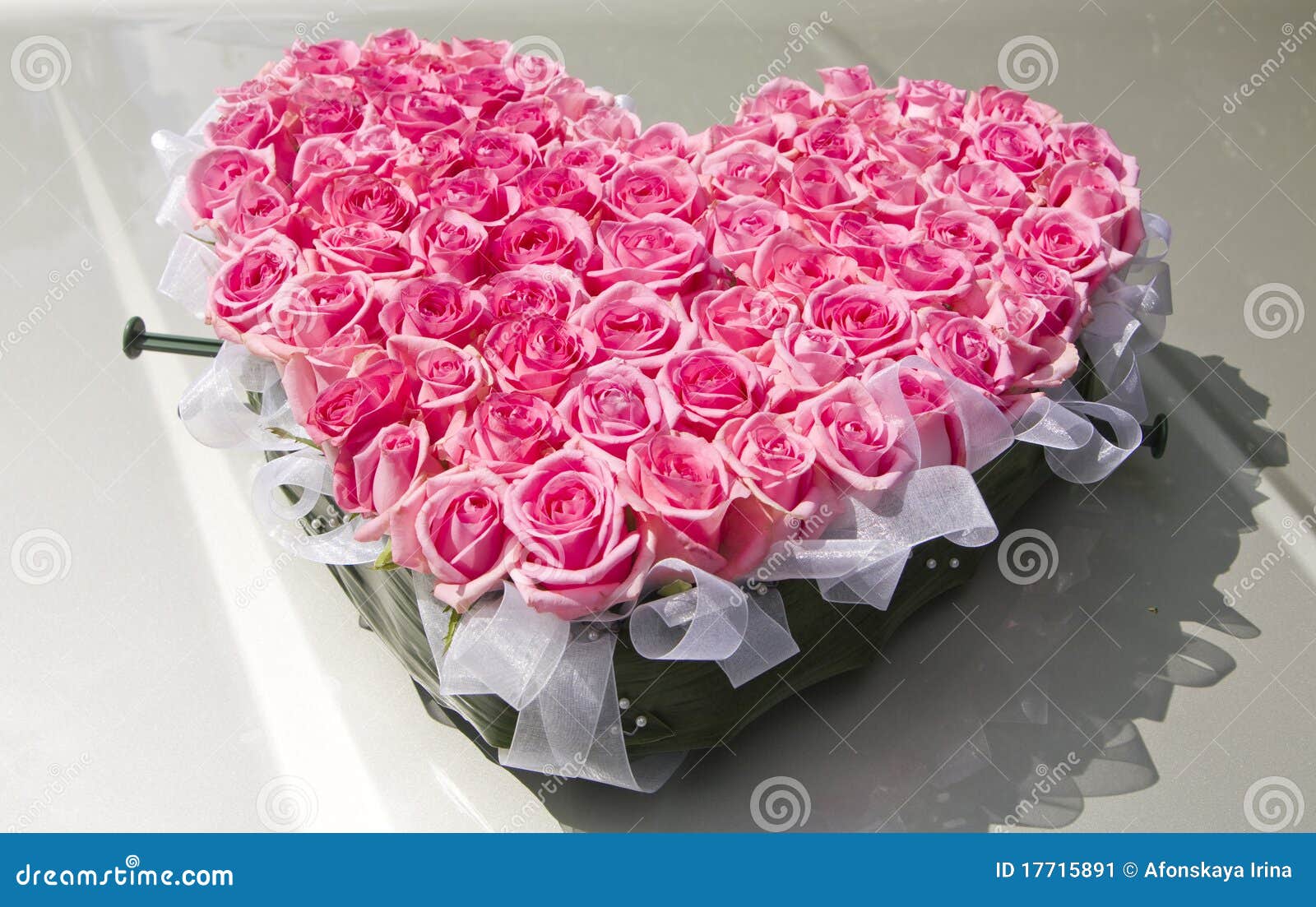 Heat from pink roses stock image. Image of pink, marriage - 17715891