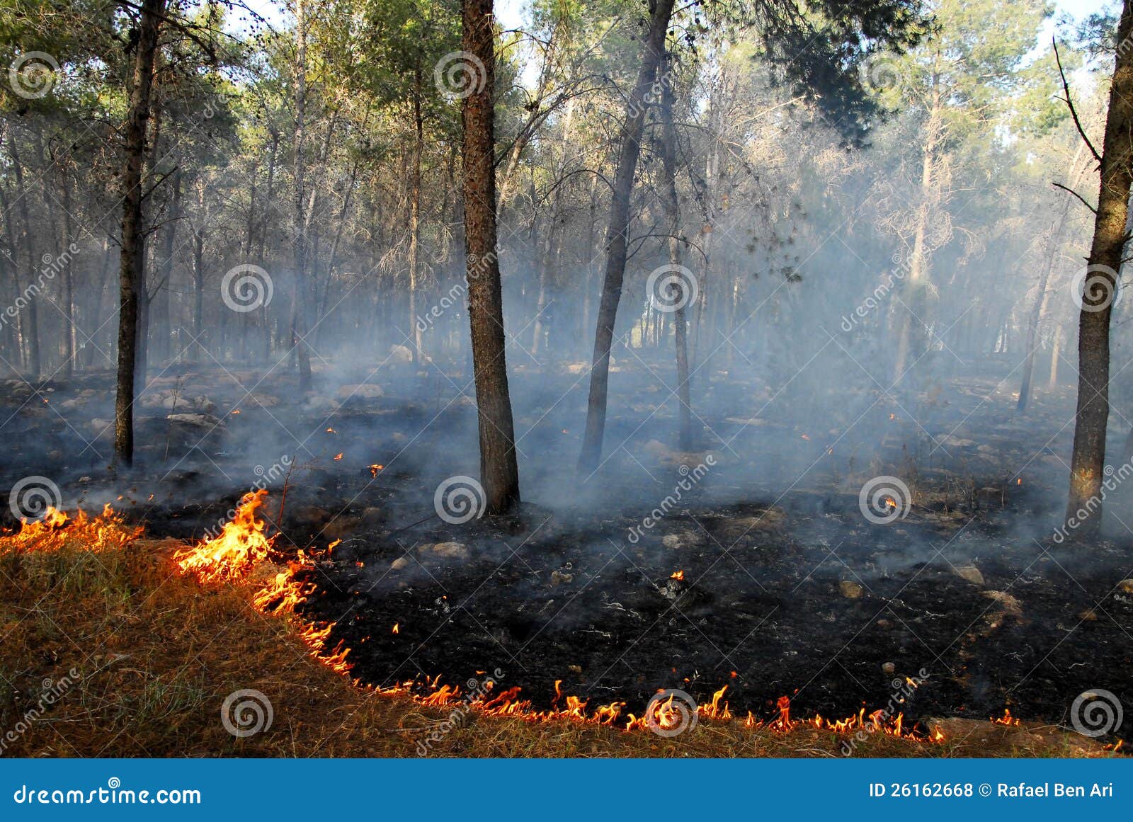 Heat Waves Cause Bush Fires Stock Photo - Image of natural, brush: 26162668