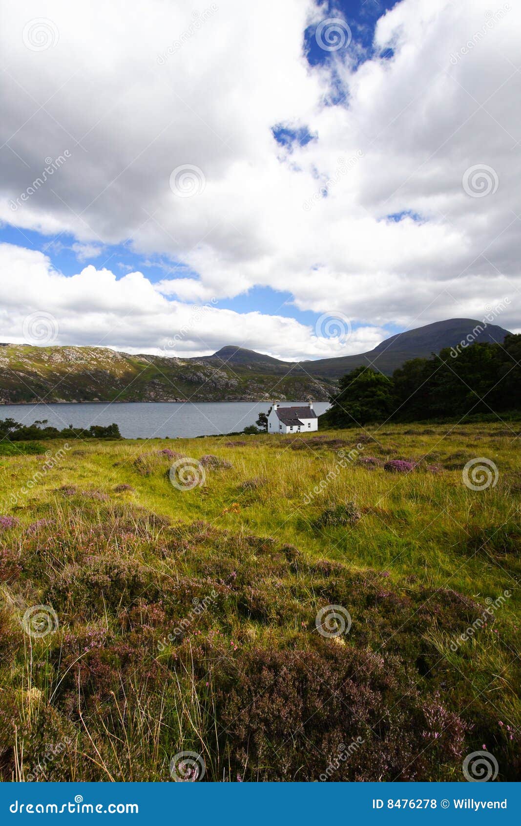 Heath and House in the Highlands, Scotland Stock Photo - Image of ...