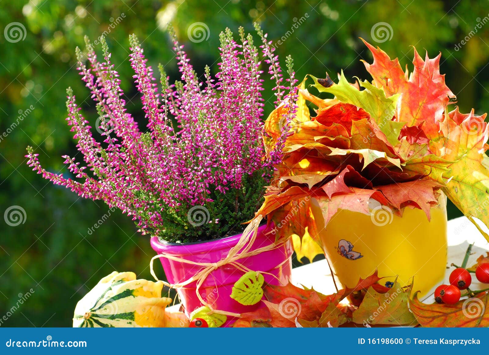 Heather Stock Photo | CartoonDealer.com #1201968