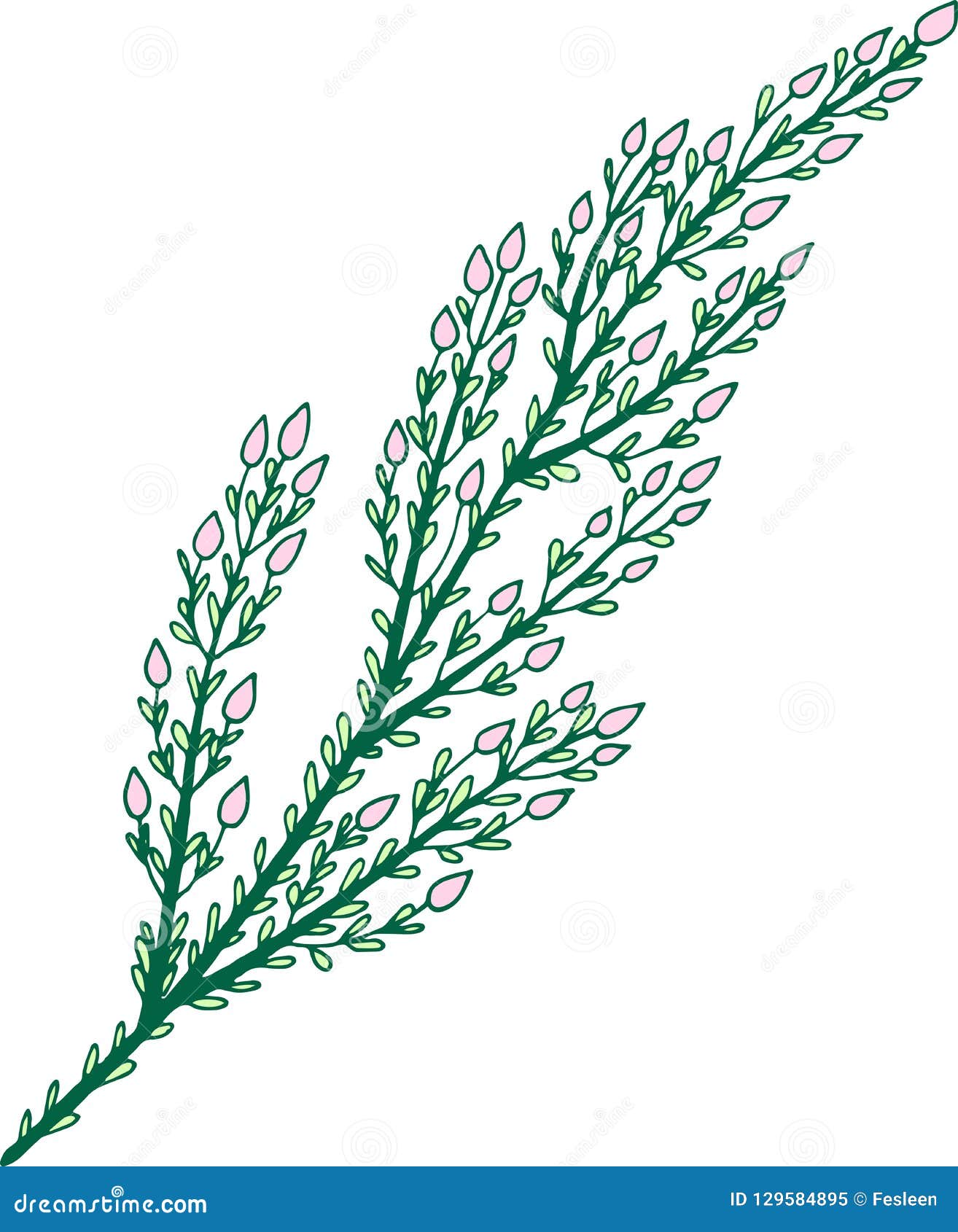 Heather, Vector Image On A White Background | CartoonDealer.com #237528102