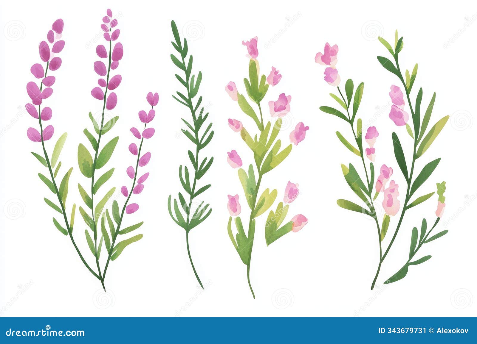 Heather Branches on White Background, Simple Flat Art Generative AI ...