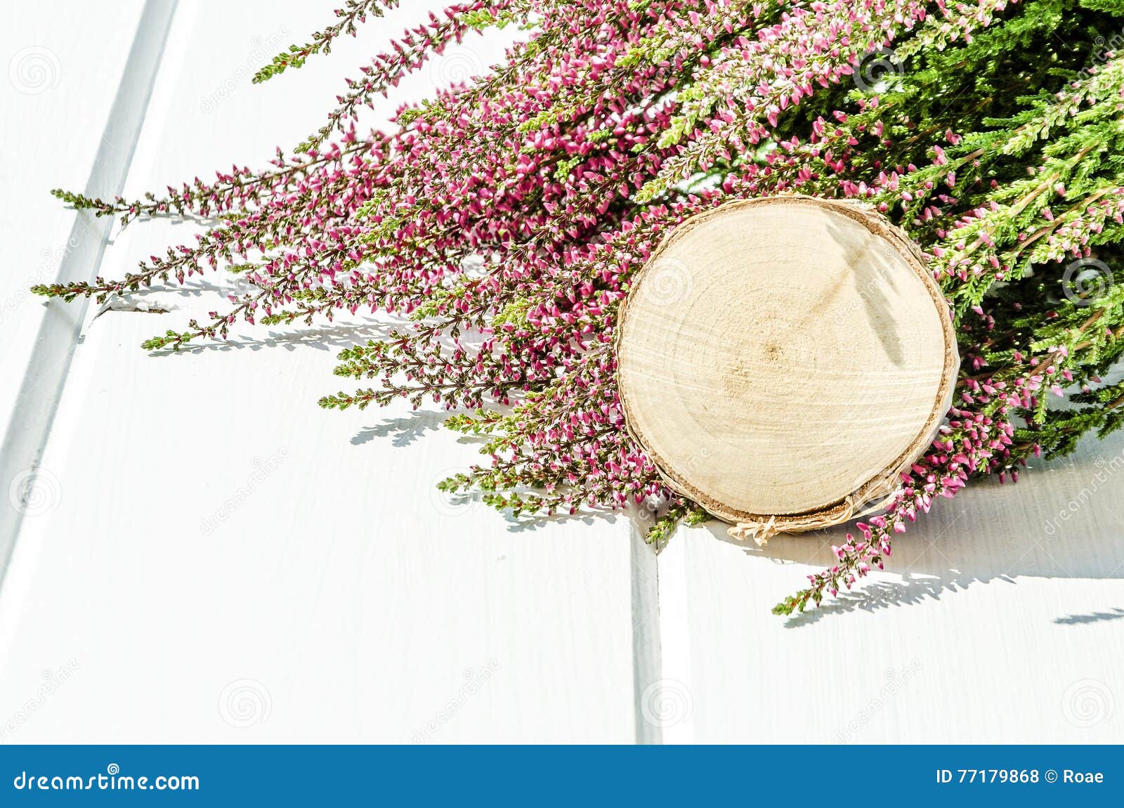Heather Flowers on White Background with Copy Space Stock Photo - Image ...