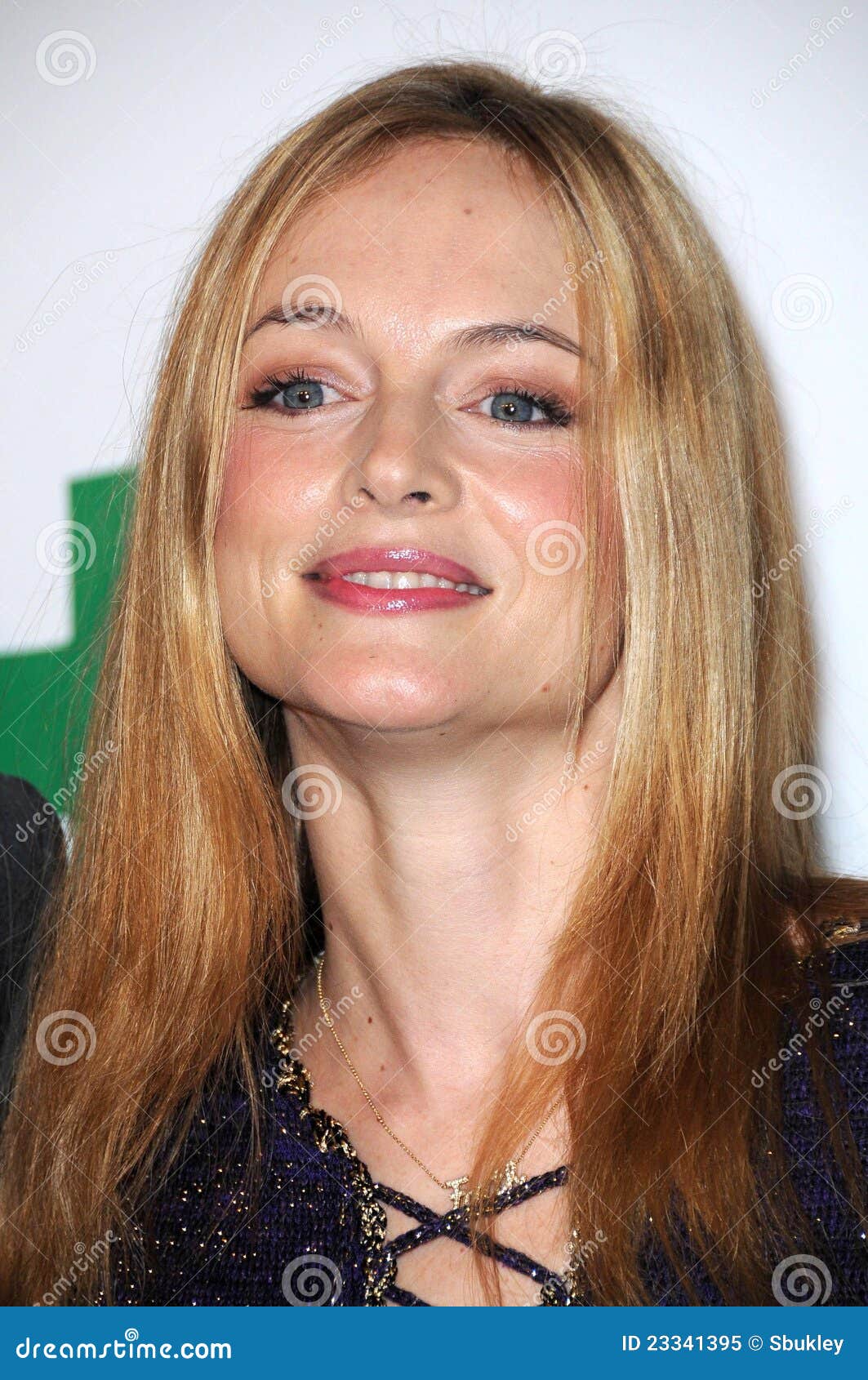Heather Graham imagen editorial. Imagen de brezo, partido - 23341395