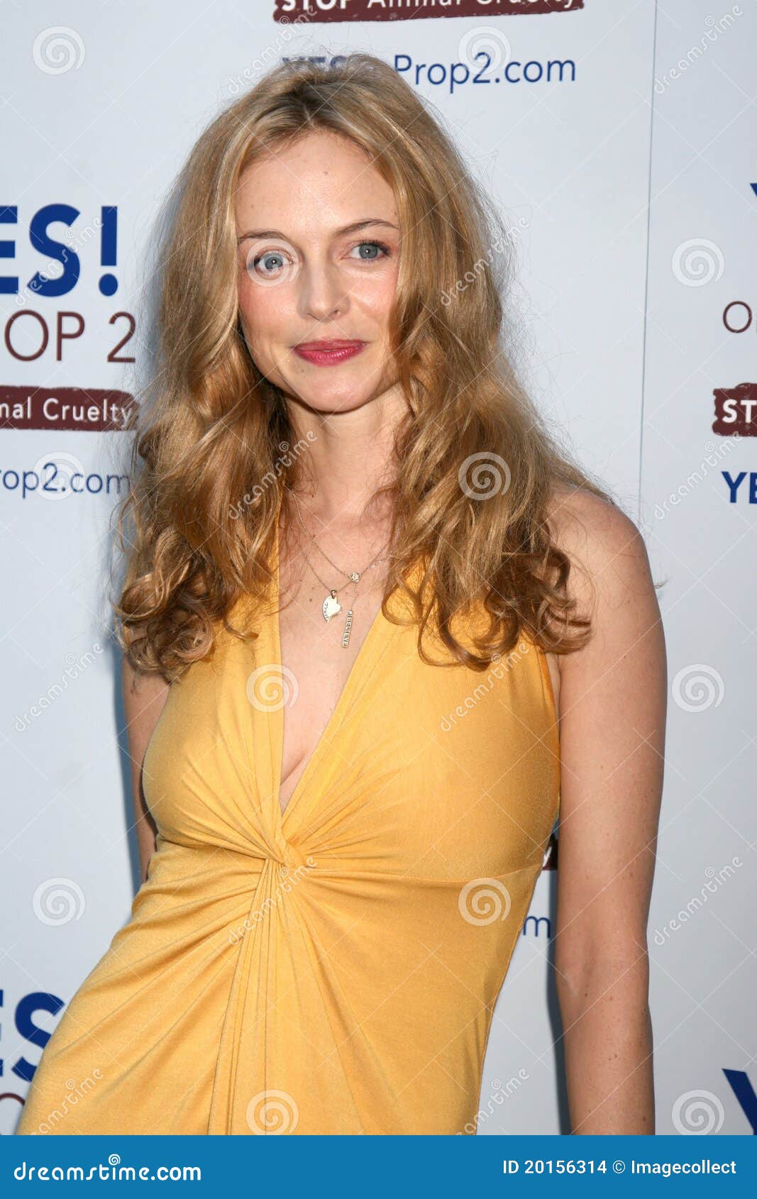 Heather Graham, JA redactionele stock afbeelding. Image of dier - 20156314
