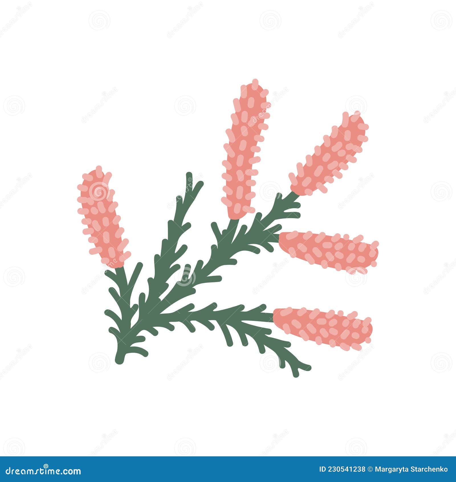 Heather Isolated Illustration Stock Vector - Illustration of spring ...