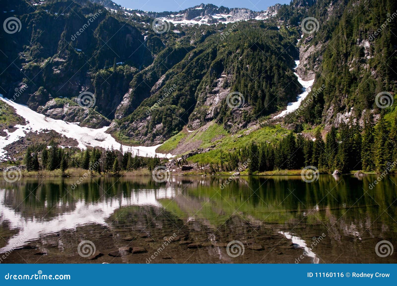 Heather Lake stock photo. Image of washington, forest - 11160116