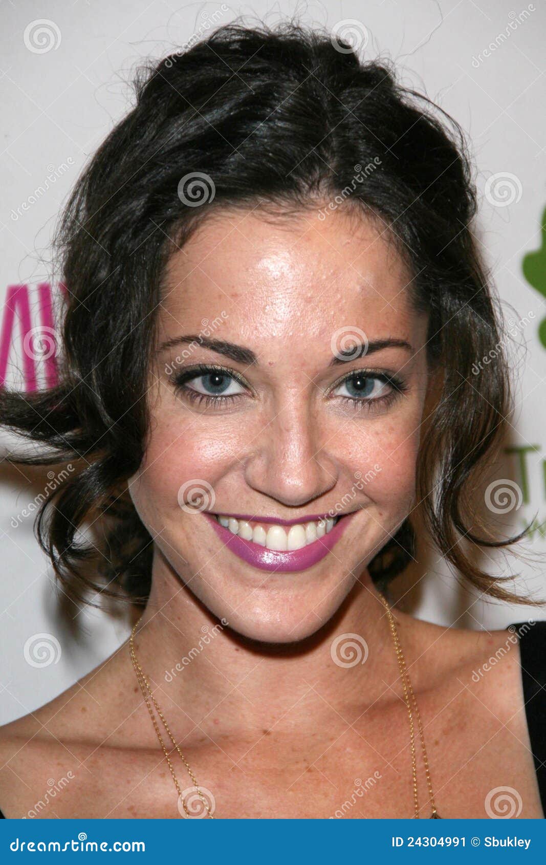 Heather Lindell editorial photo. Image of heather, intermix - 24304991