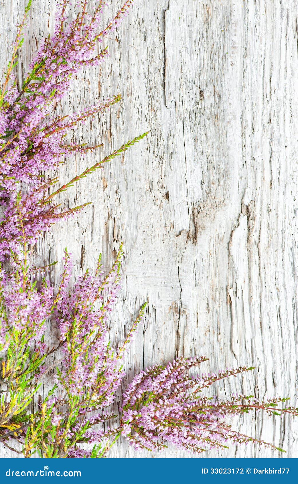 Heather and Old Wood Background Stock Photo - Image of foliage, element ...