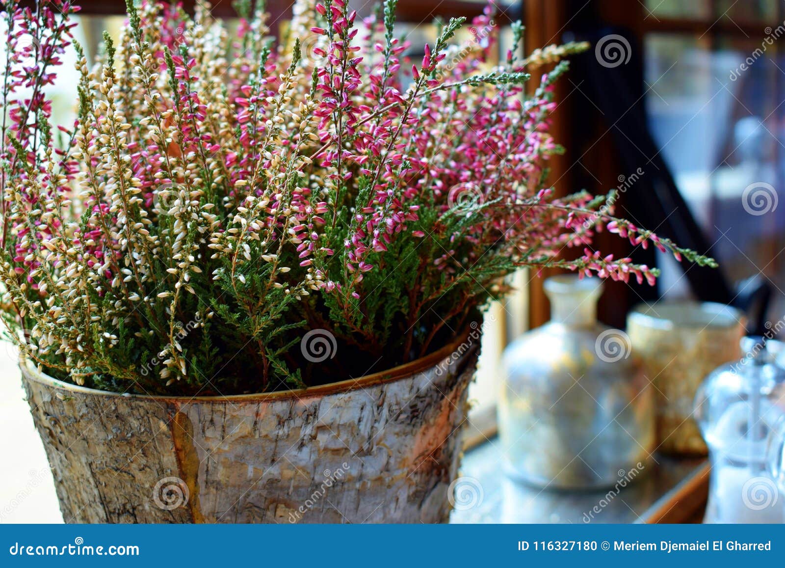 Heather Interior Decoration Stock Photo - Image of nature, decorations ...