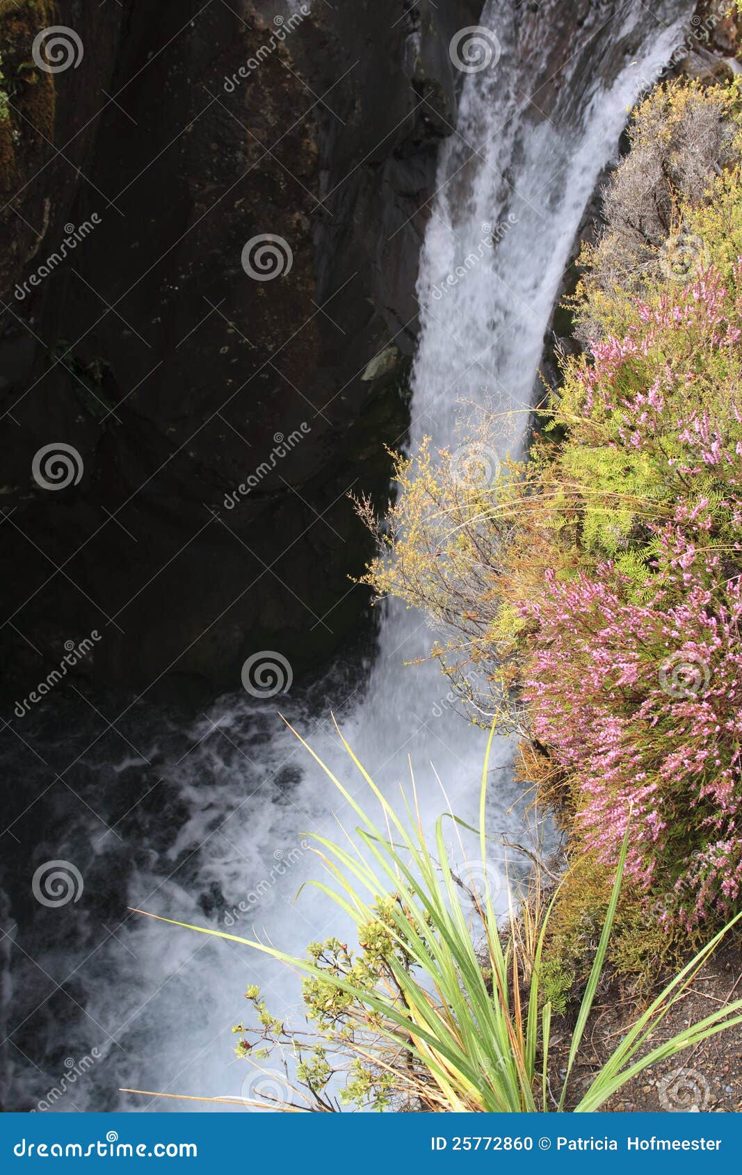 Heather and waterfall stock photo. Image of high, dangerous - 25772860