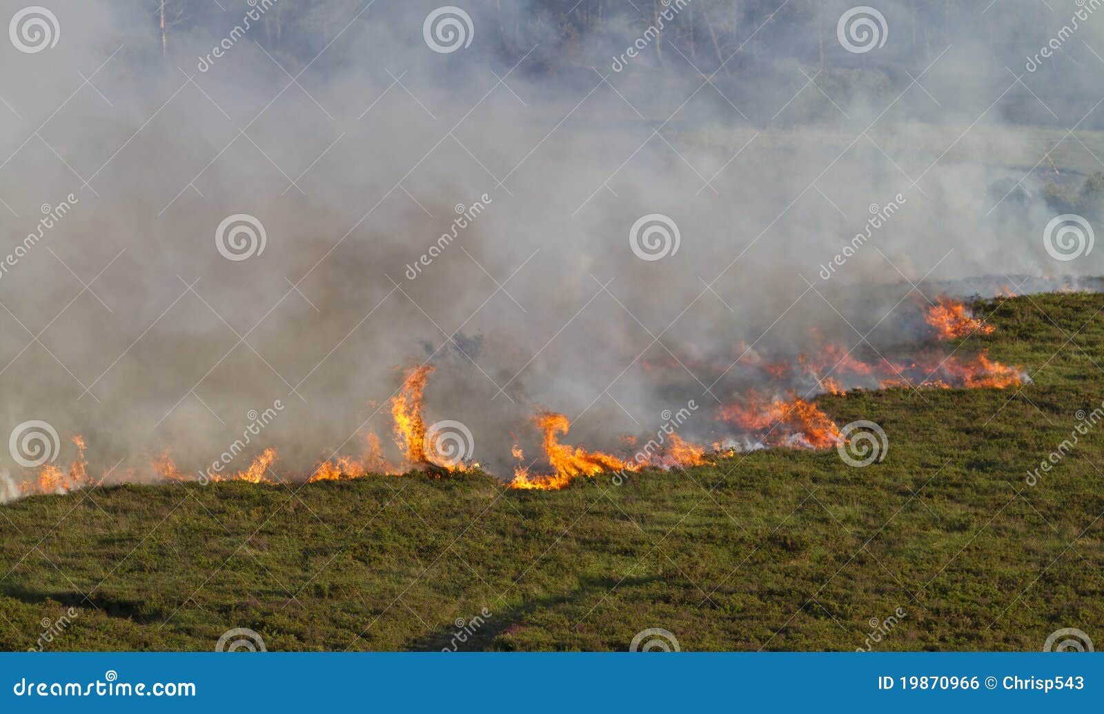 Heathland Fire stock photo. Image of gorse, burnt, arson - 19870966