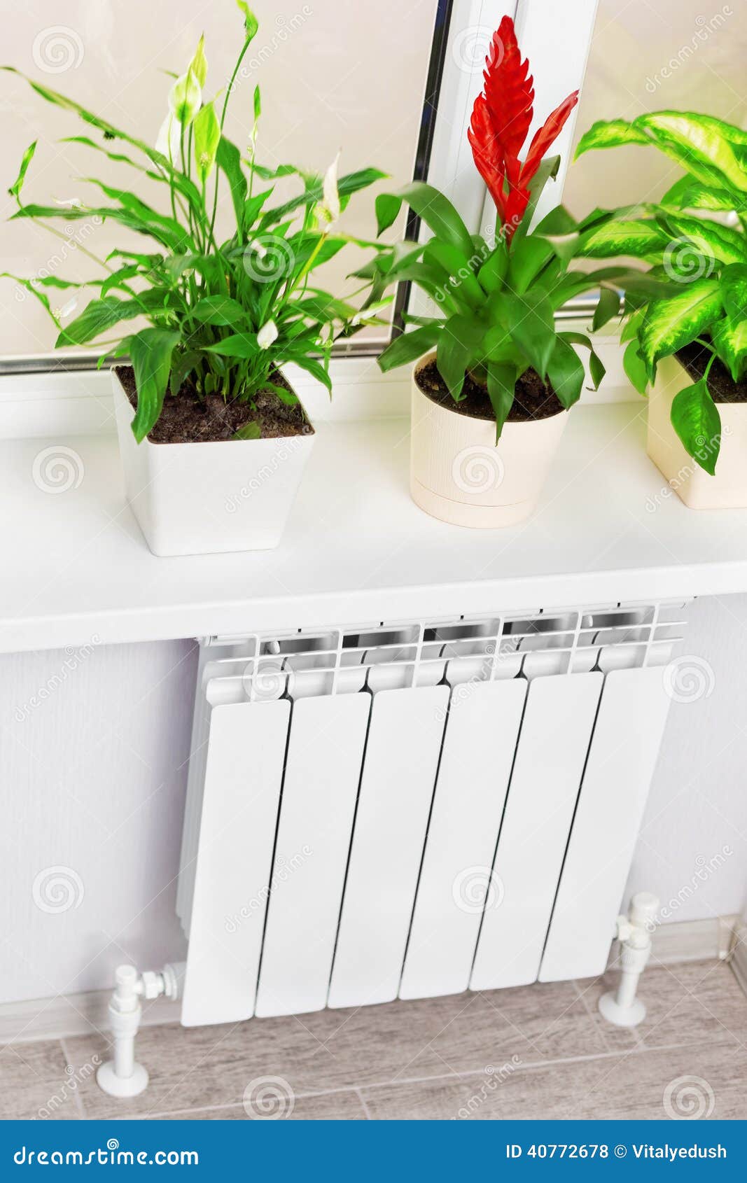 Heating White Radiator Radiator with Flower and Window. Stock Photo ...