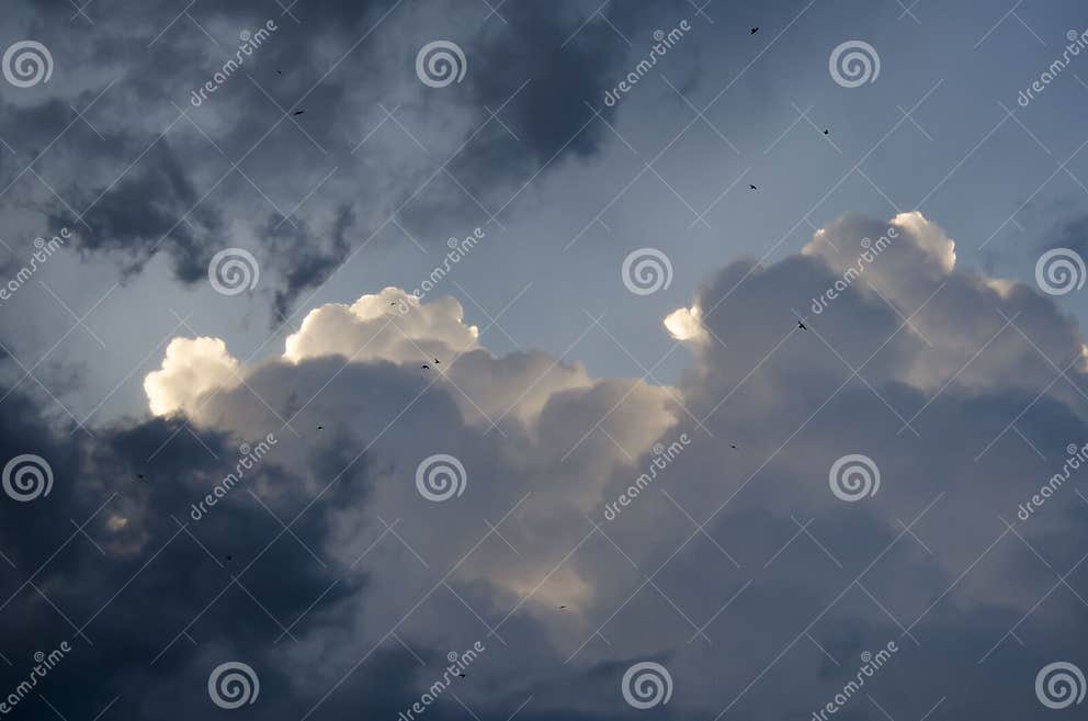 Heaven with bird stock image. Image of sunset, night - 97780479