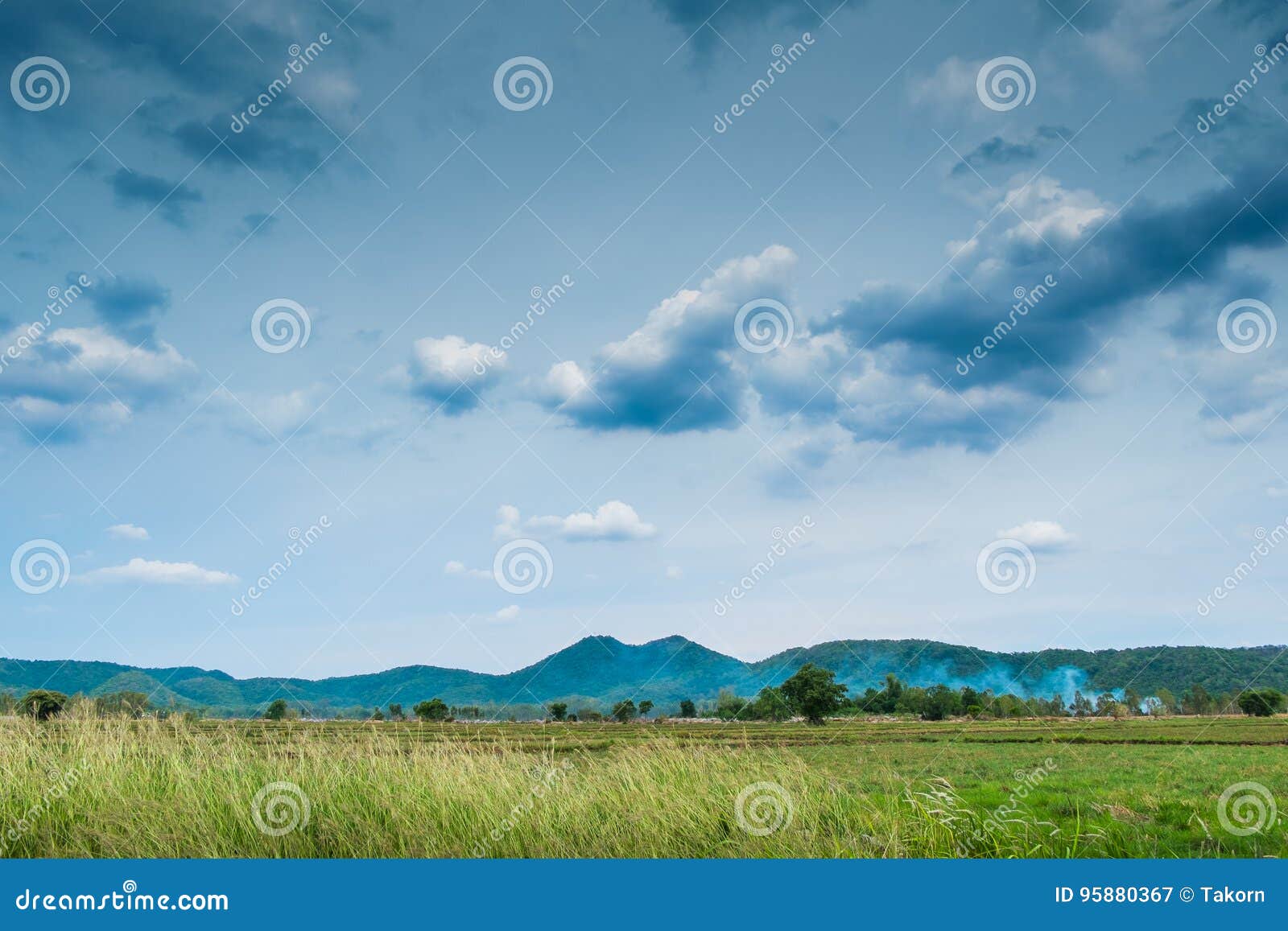 Heaven on the Field with Fresh Air. Stock Image - Image of country ...