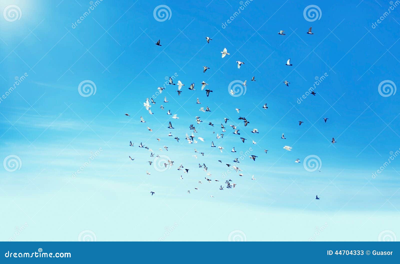 Heaven, migrating birds stock image. Image of hunting - 44704333