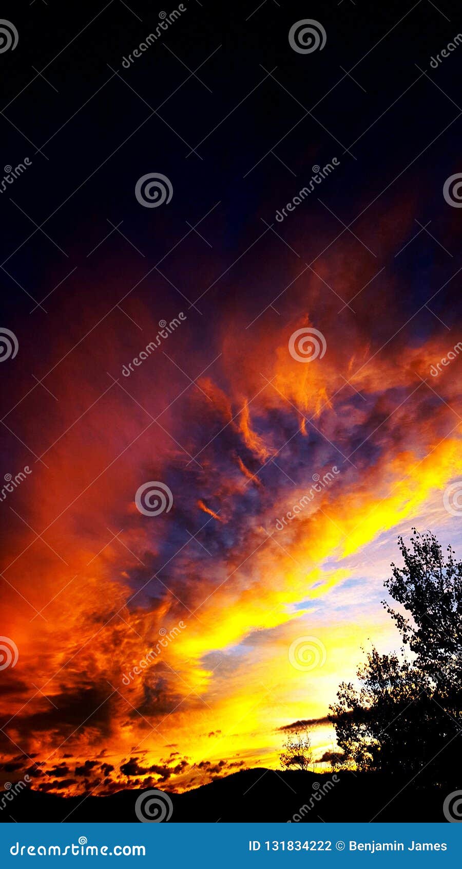 Windy Color Popping Royalty-Free Stock Photography | CartoonDealer.com ...