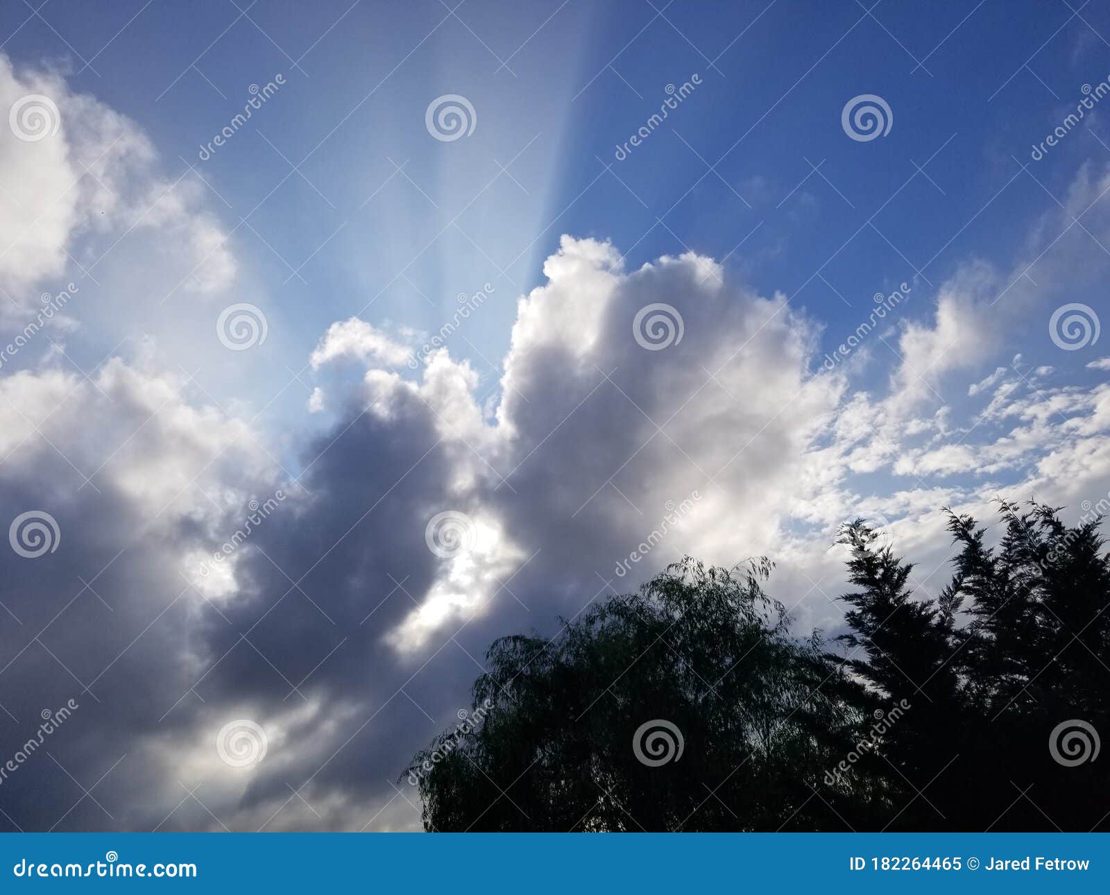 The Heavenly Light from Above Stock Image - Image of dusk, evening ...