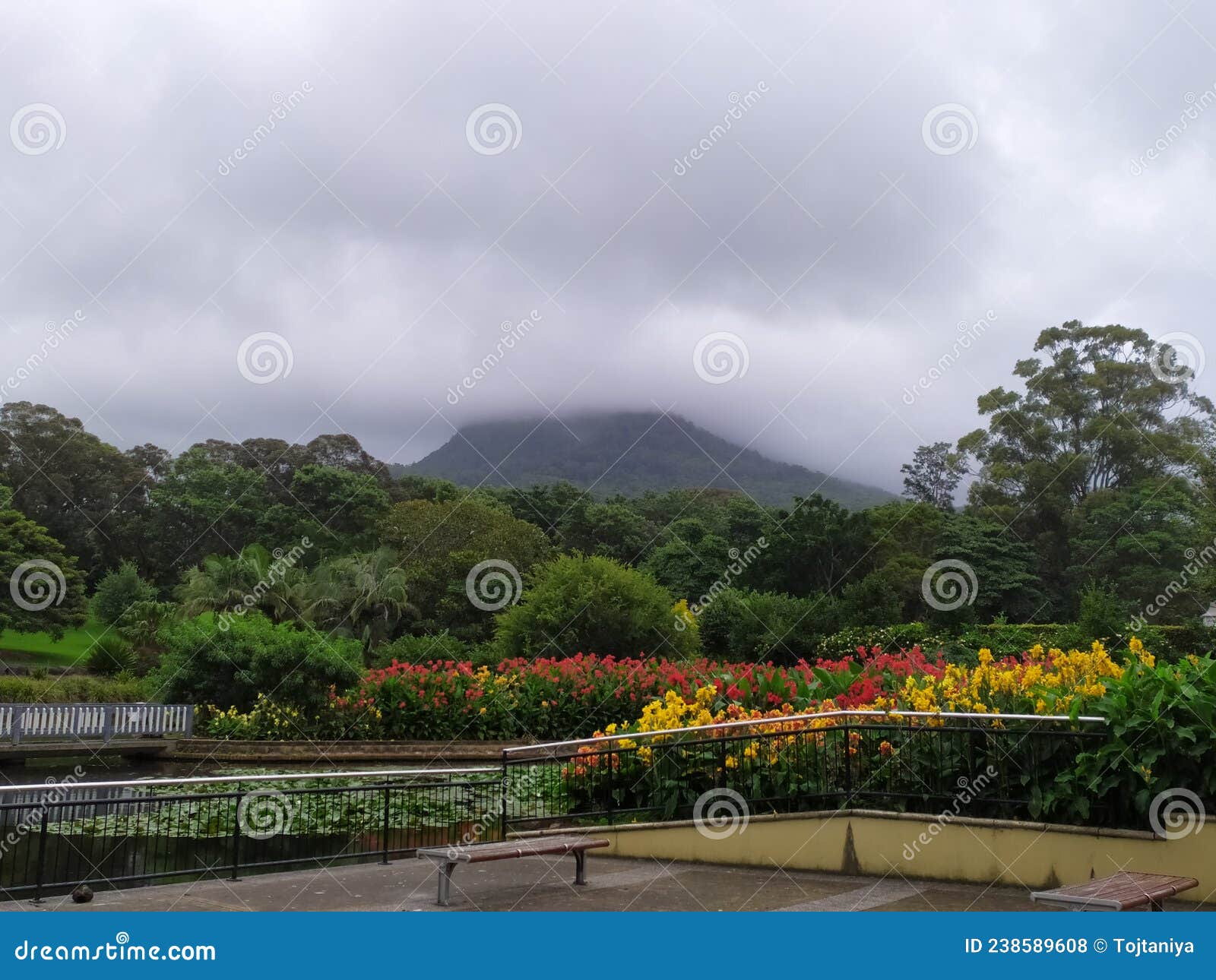 A heavenly path stock photo. Image of path, garden, heavenly - 238589608